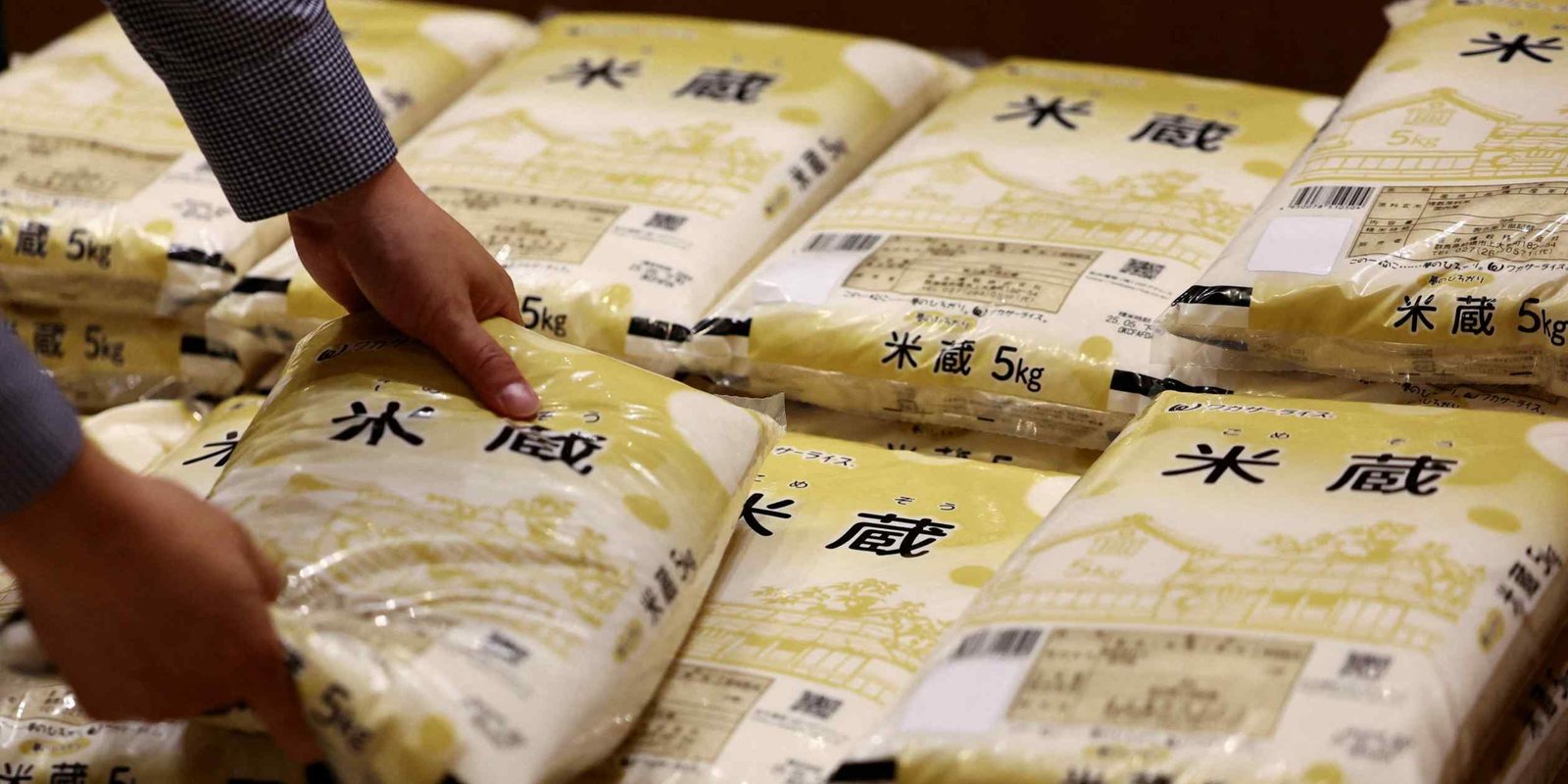 Japan wary of Trump’s rice push with auto tariffs still up in the air ...